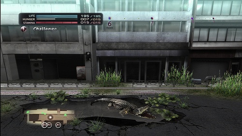 Co-Optimus - Screens - Four New Animals Come to Tokyo Jungle